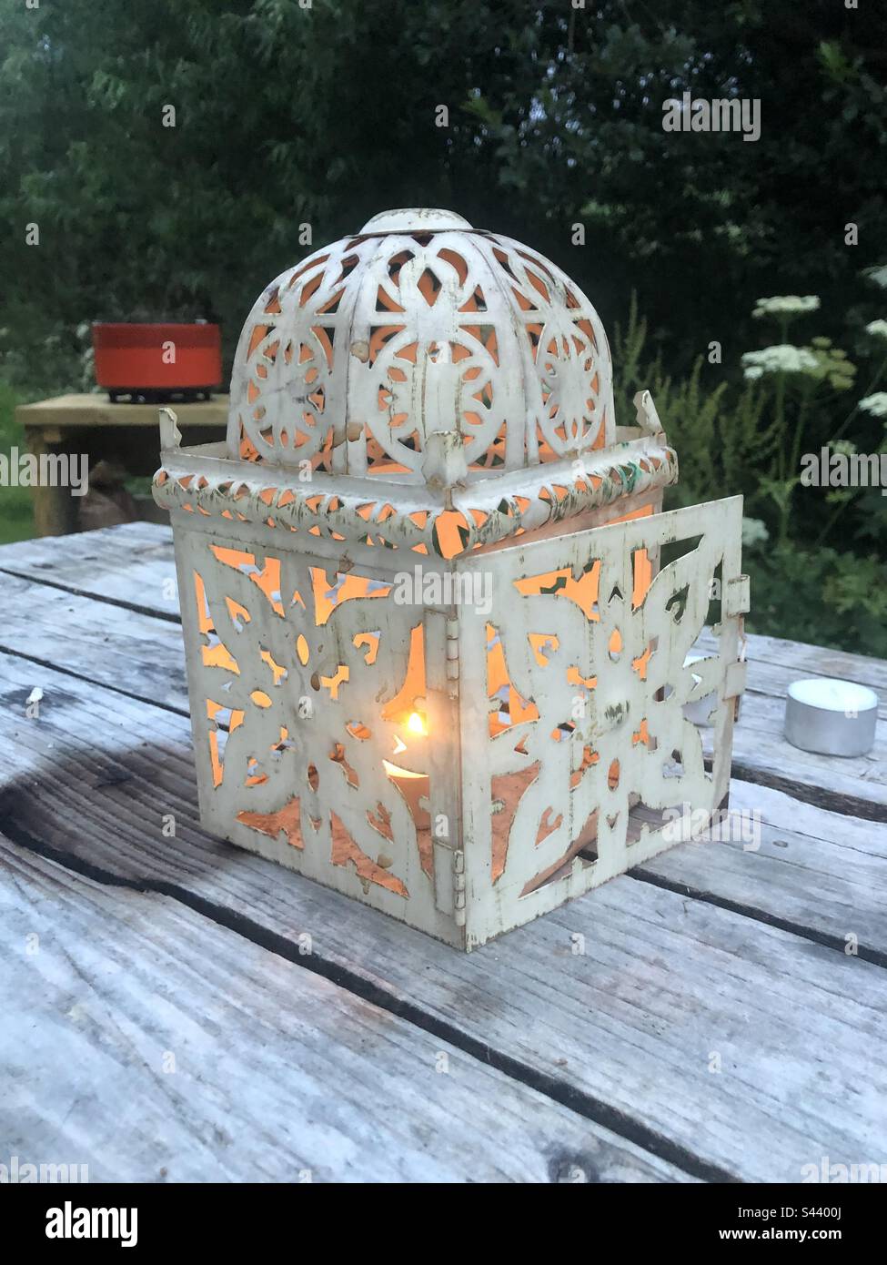Lantern in the forest hi-res stock photography and images - Alamy