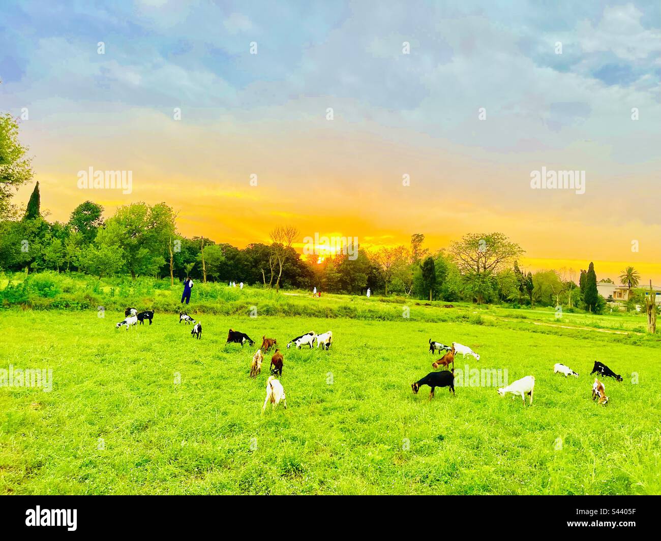 Nature is the gentlest mother Stock Photo - Alamy