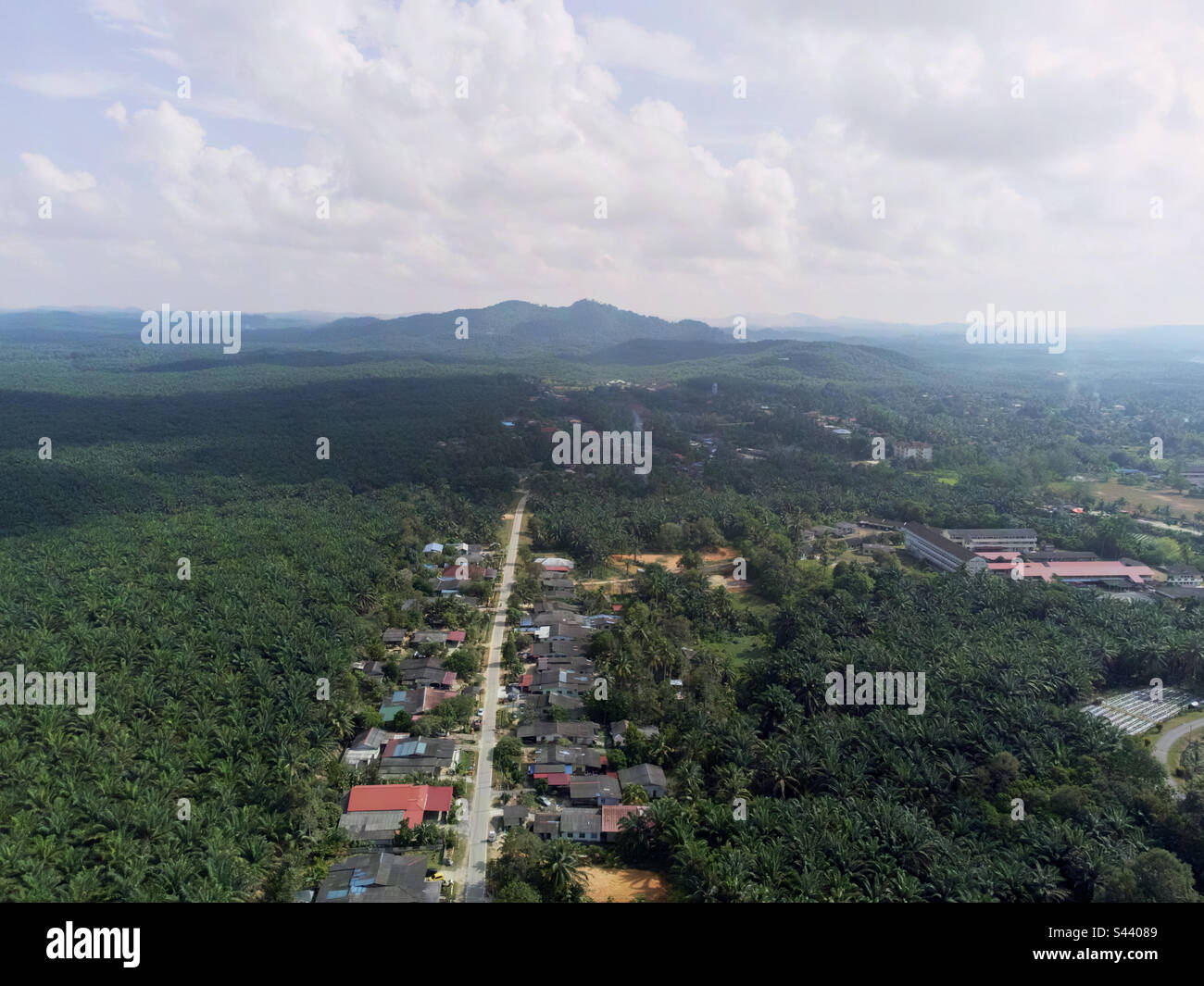 High angle view of Felda Kerteh 3 in Dungun, Terengganu. Against the ...