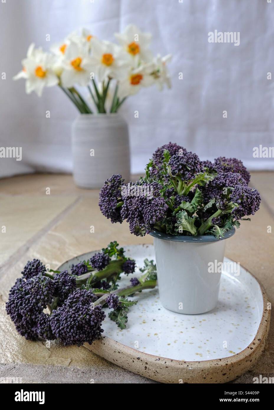 Purple sprouting broccoli in an enamel pot and a vase of spring flowers ...