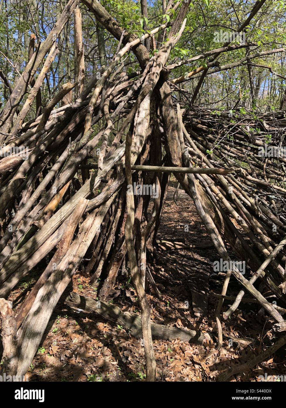 Teepee of sticks hi-res stock photography and images - Alamy