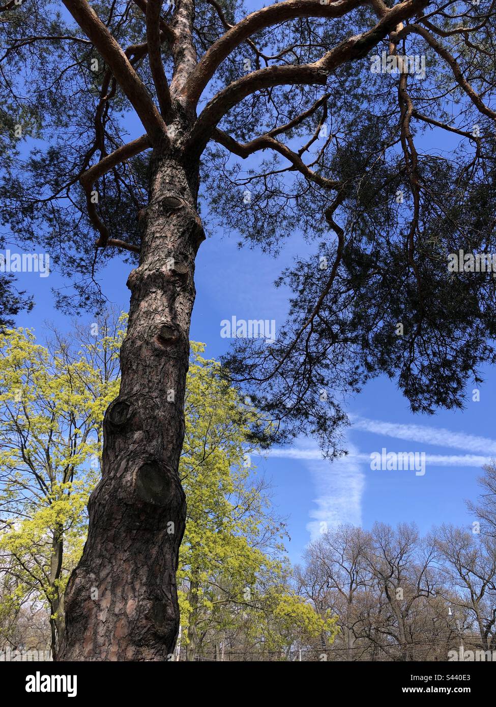 Spring, season of change Stock Photo - Alamy