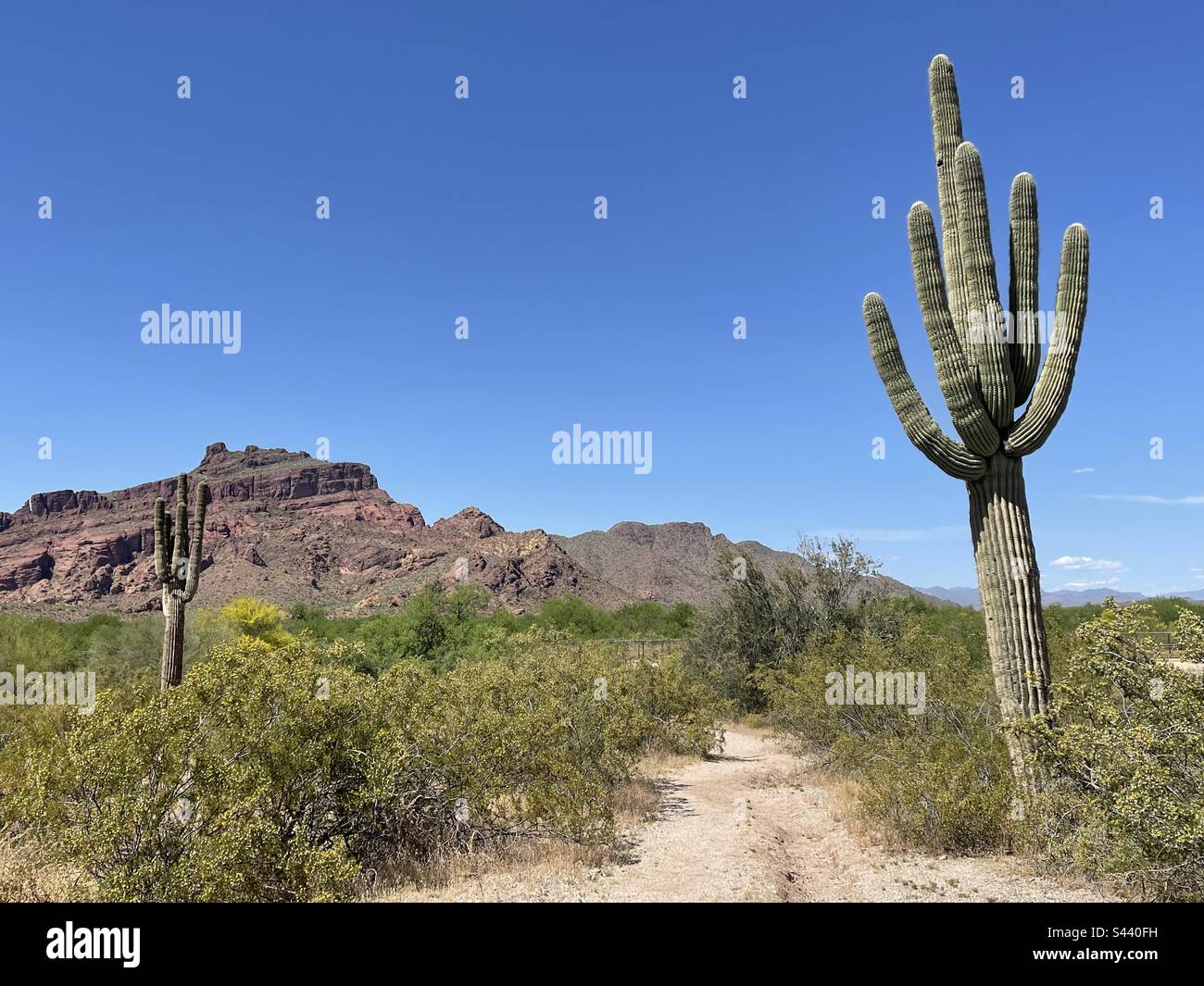 Verde valley river hi-res stock photography and images - Alamy