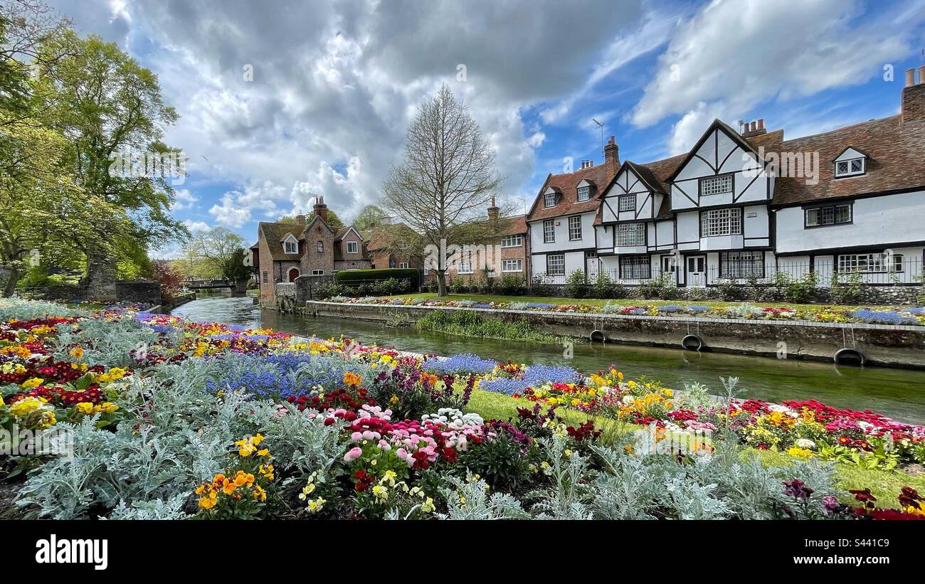 River Stour at Westgate Gardens in Canterbury Stock Photo - Alamy