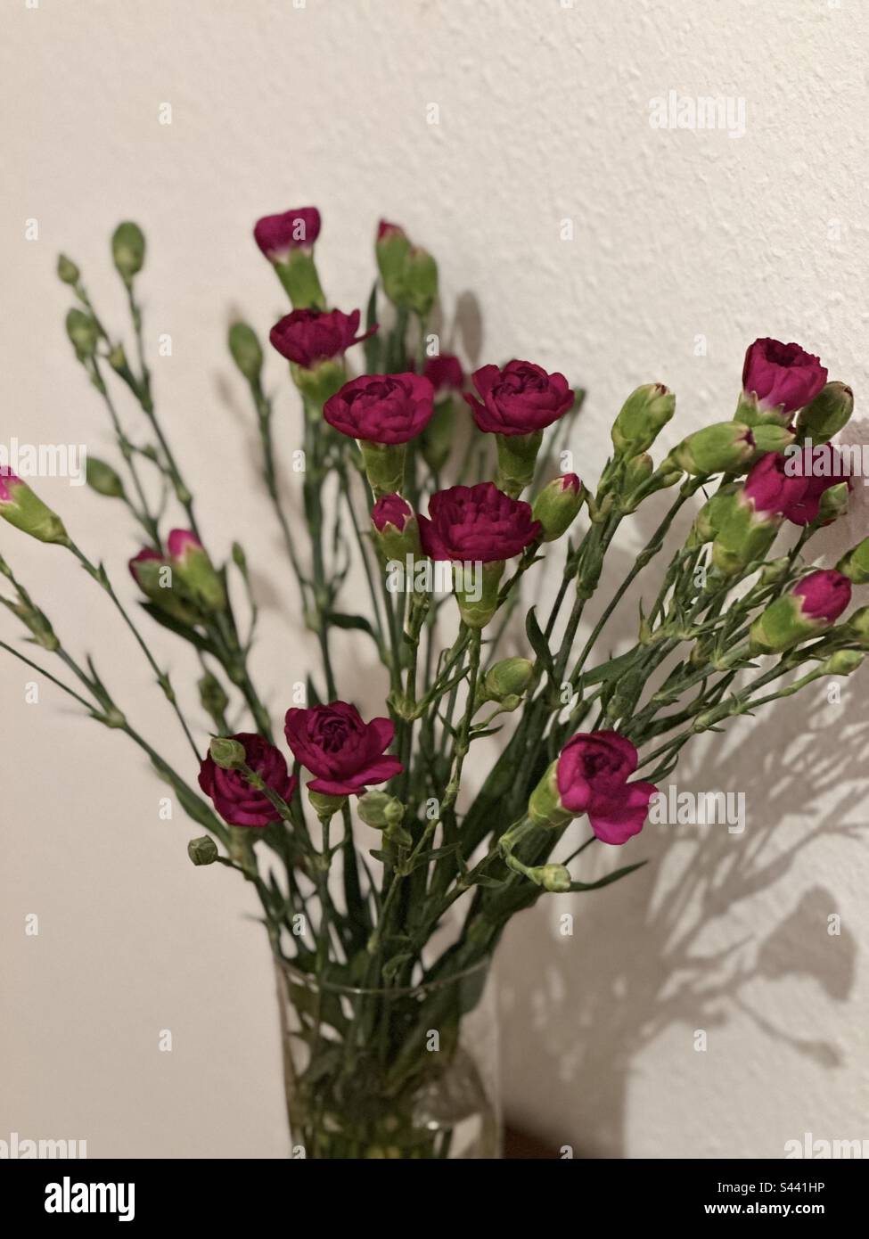 Jam flowers hi-res stock photography and images - Alamy