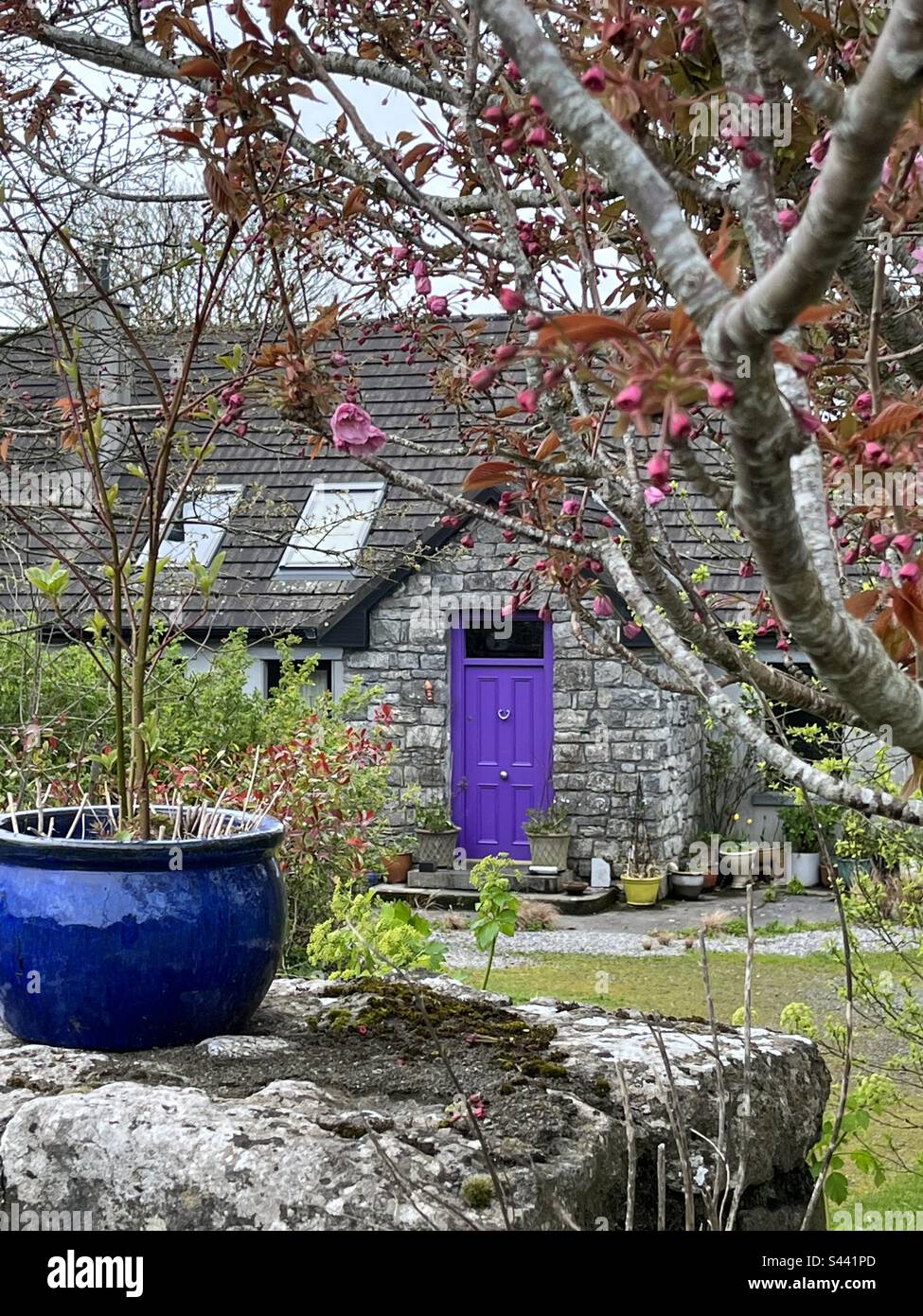 Irish house hi-res stock photography and images - Alamy