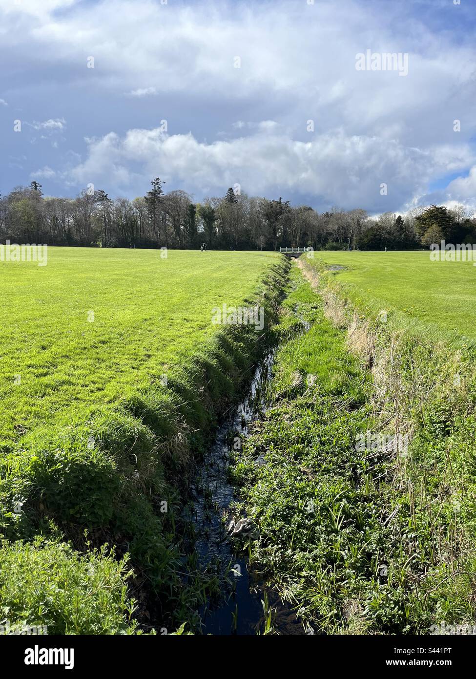 Irish field hi-res stock photography and images - Alamy