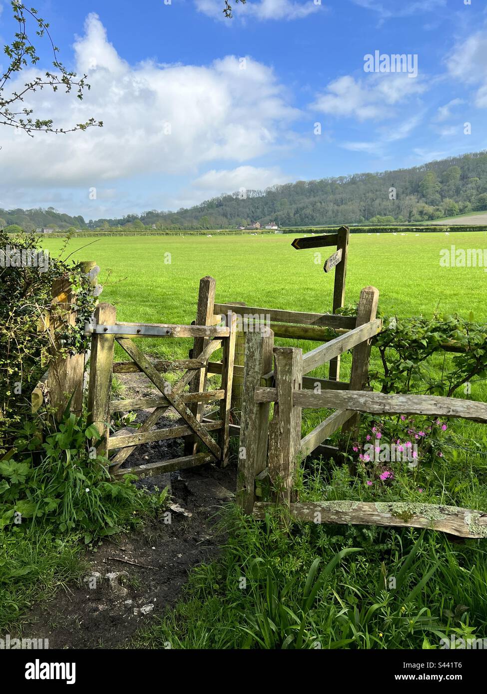 Old stile hi-res stock photography and images - Alamy