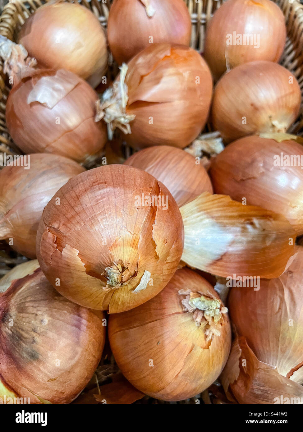 Large brown onions Stock Photo - Alamy
