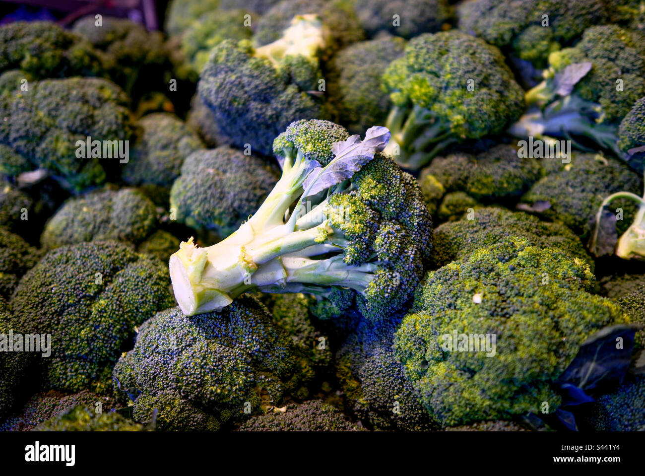Broccoli in the supermarket on display Stock Photo - Alamy