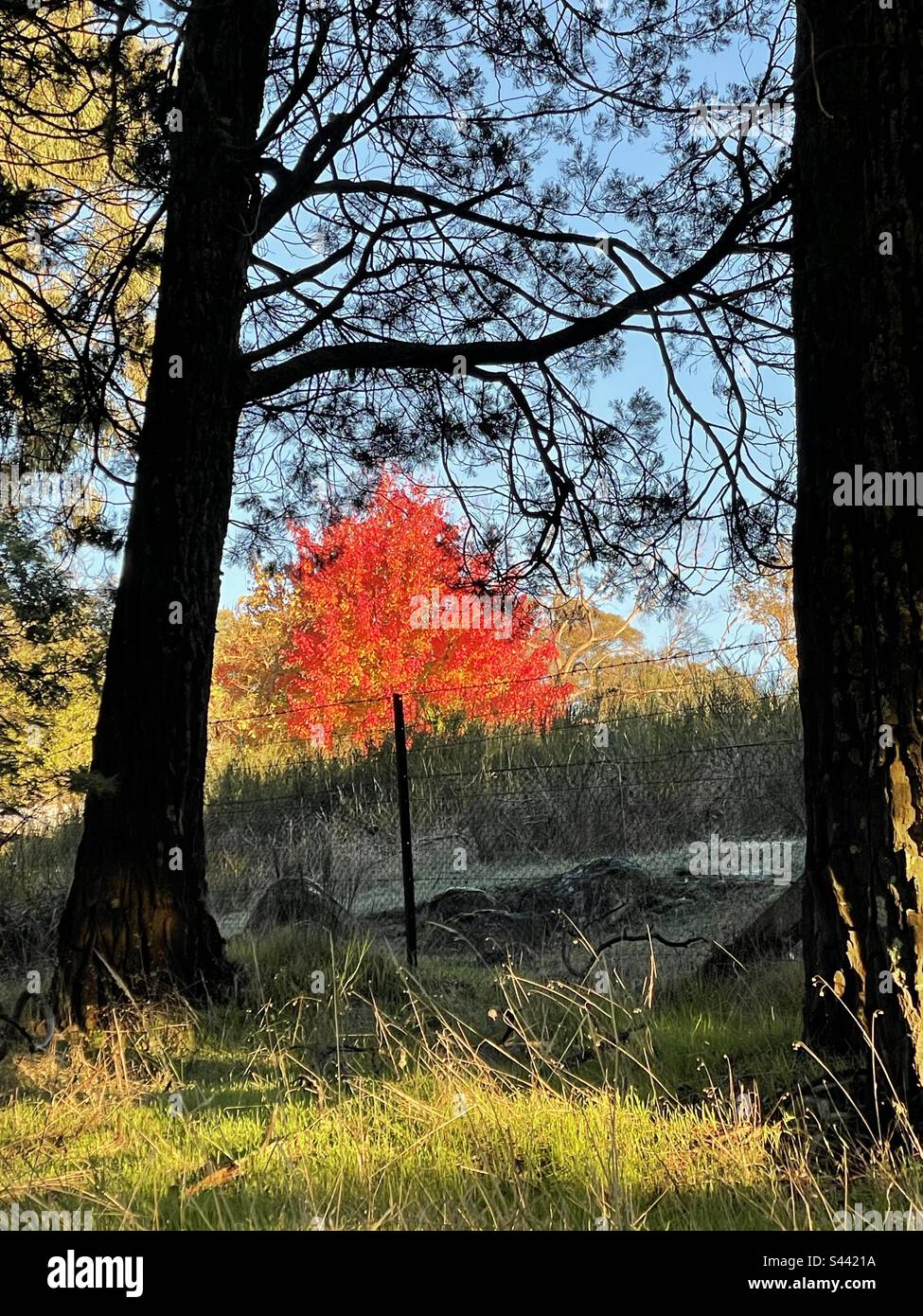Vibrant in colour hi-res stock photography and images - Alamy