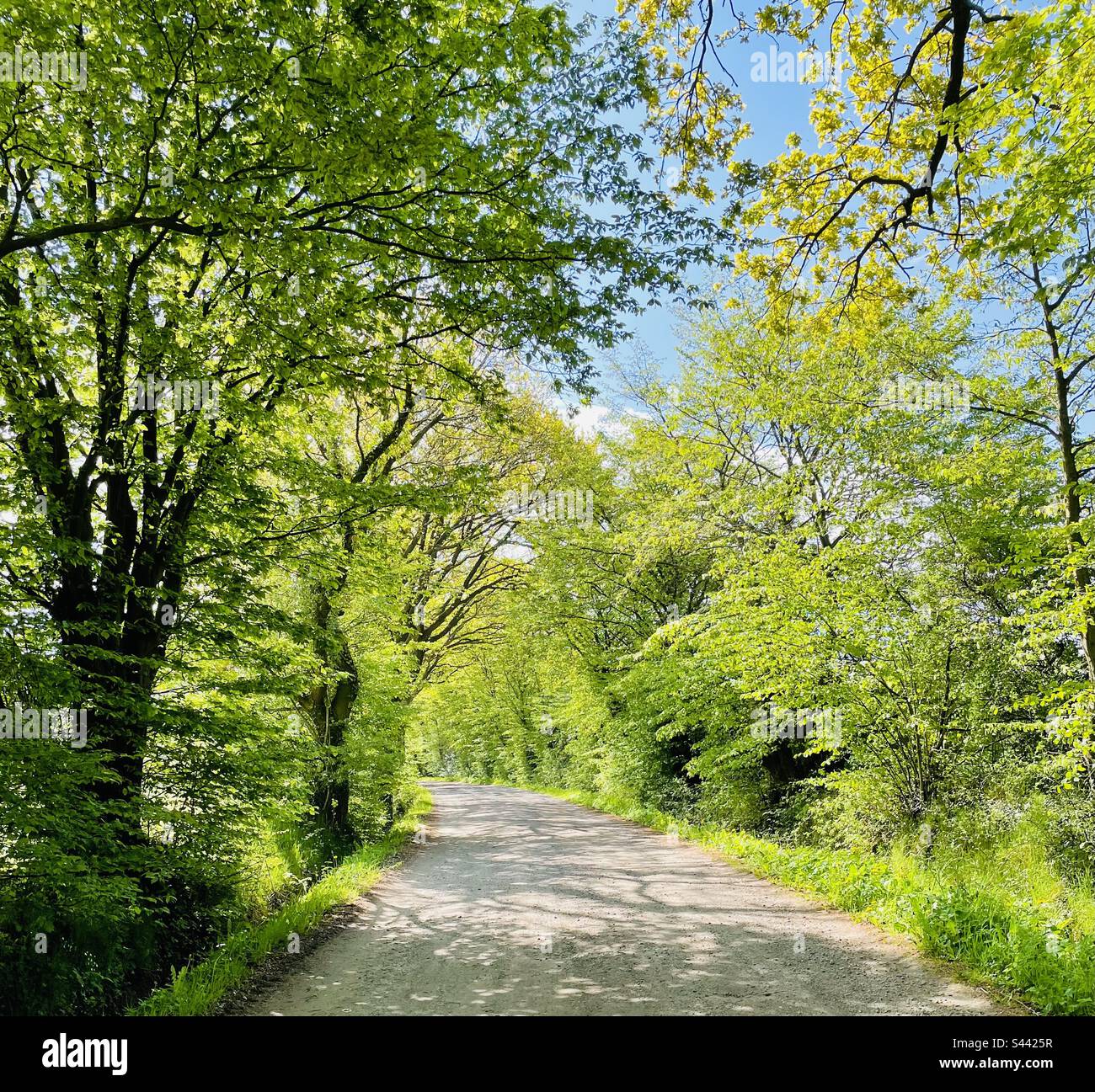 Peisage hi-res stock photography and images - Alamy