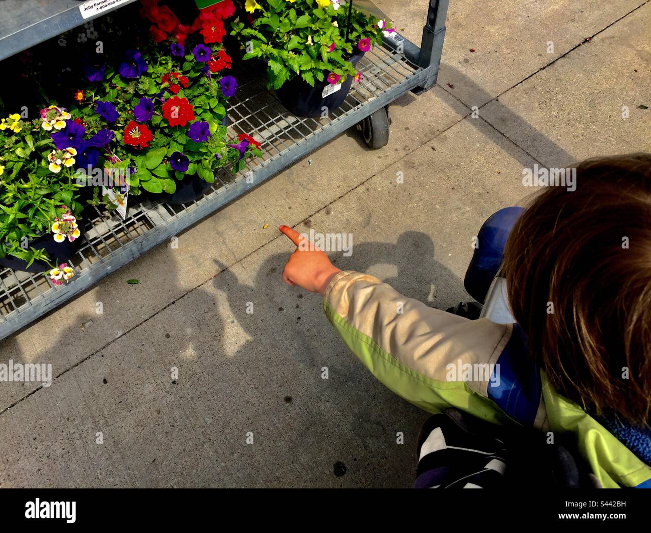Toddler pointing at flowers. I like that one. Springtime. Outdoors ...
