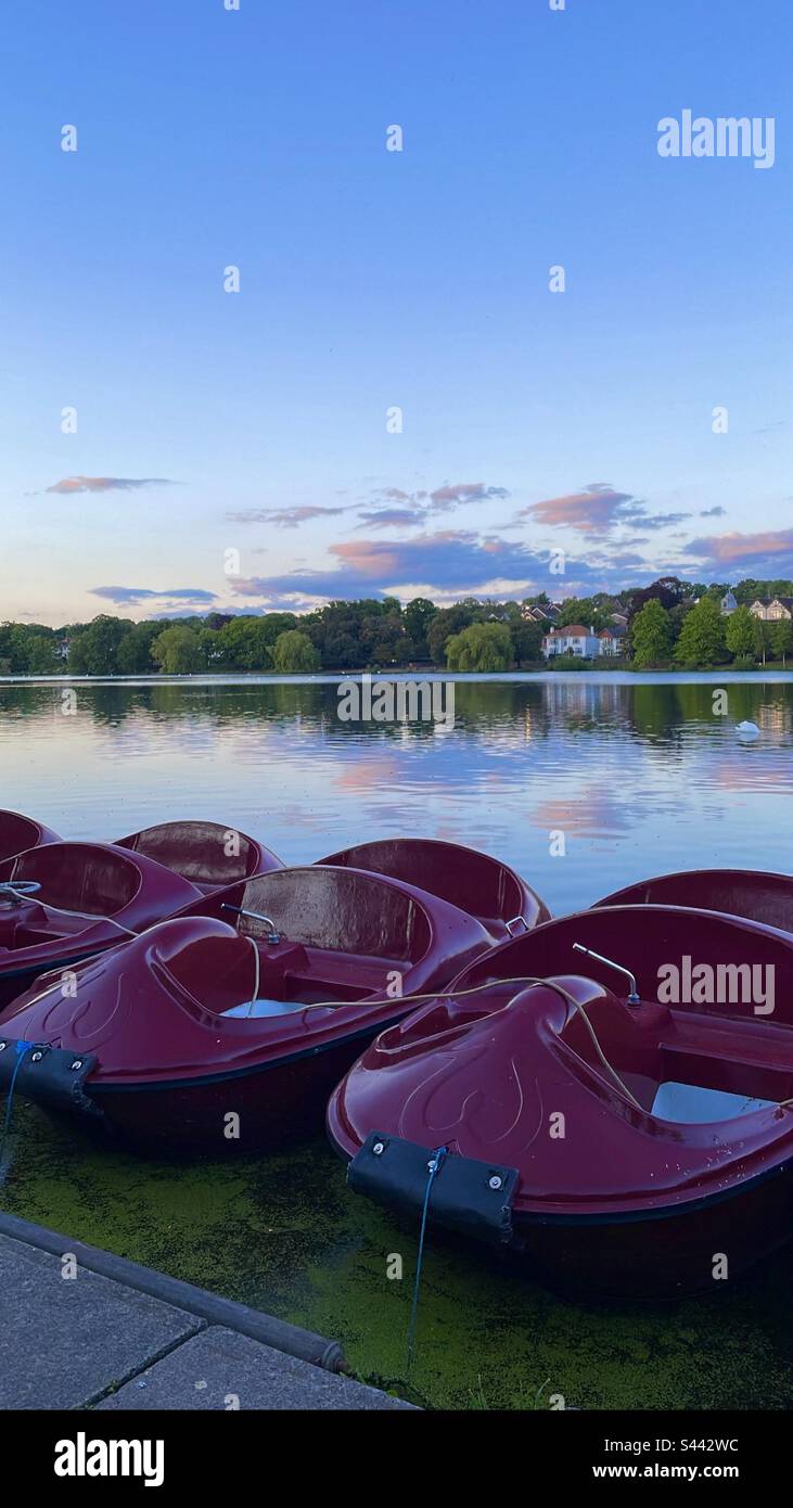 Roath lake hi-res stock photography and images - Alamy