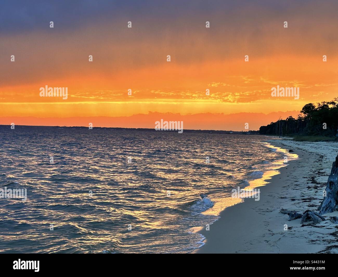 14 pro max hi-res stock photography and images - Alamy