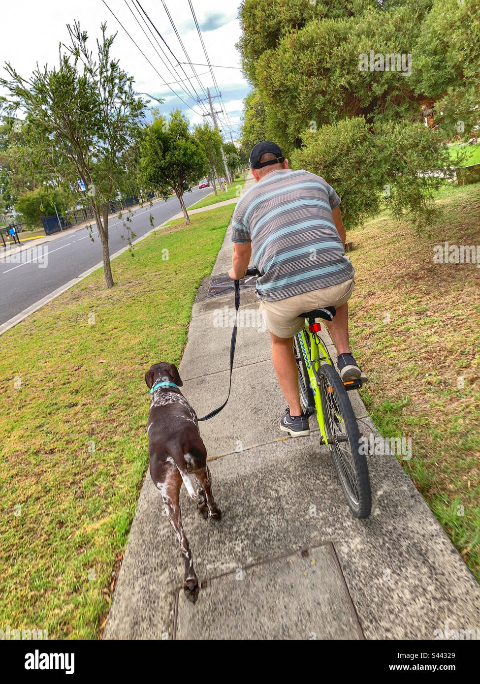Man cycling with his dog Stock Photo - Alamy