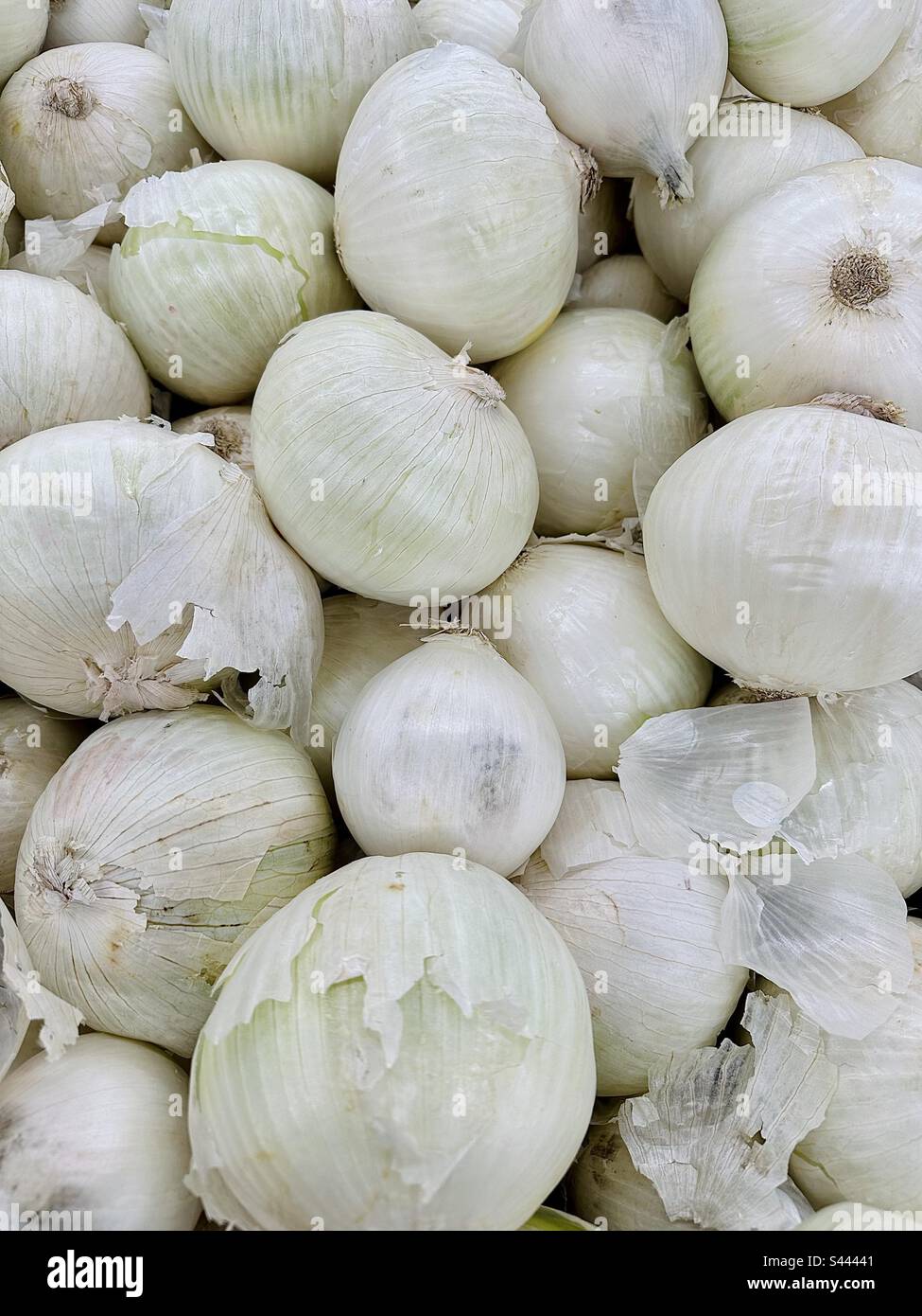 White onions in a bin at grocery store Stock Photo - Alamy