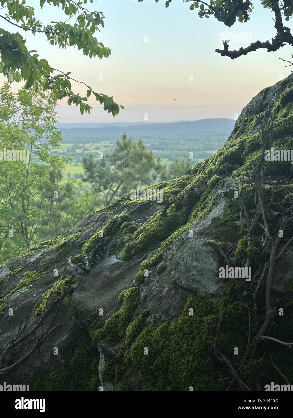 Mossy rock with view in distance Stock Photo - Alamy