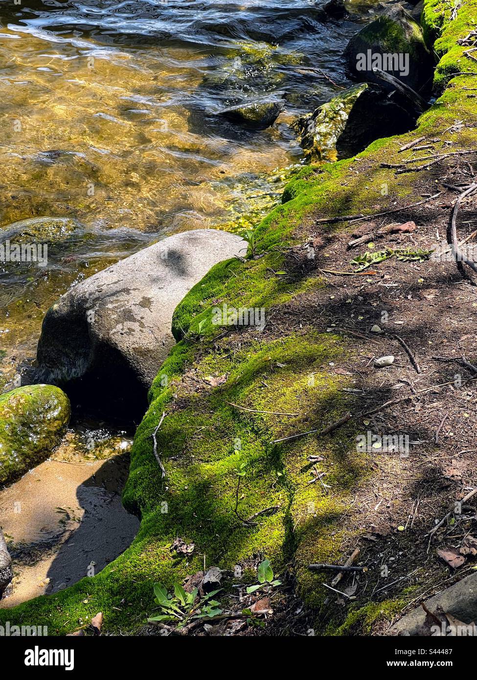 Shorelines hi-res stock photography and images - Alamy