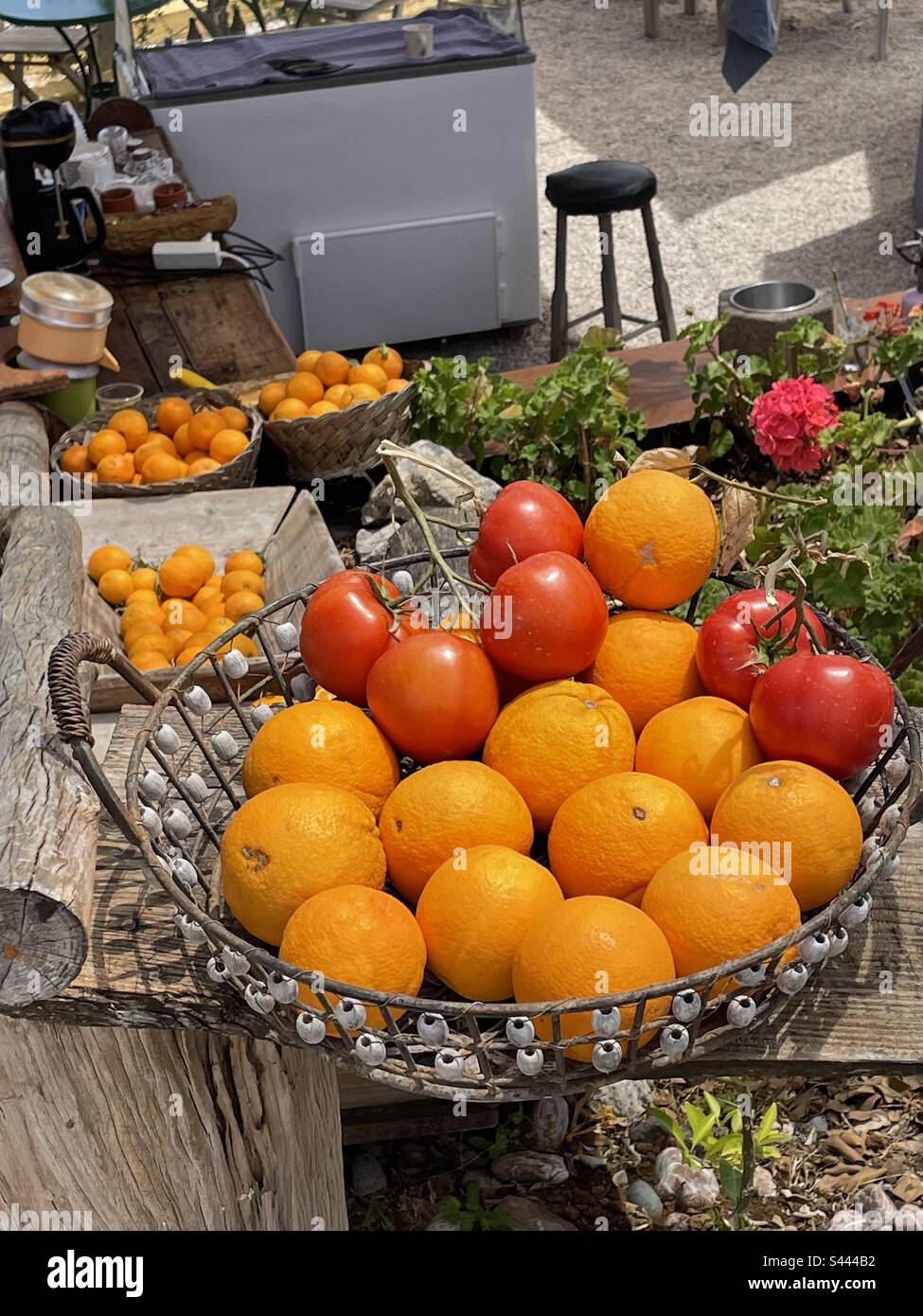 Fruits And Vegetables In Greek at Allan Sturtz blog