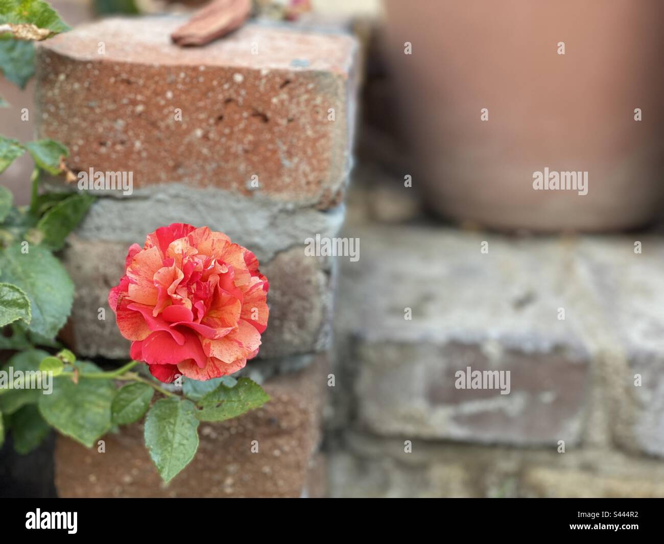 Bricks brickwork hi-res stock photography and images - Alamy