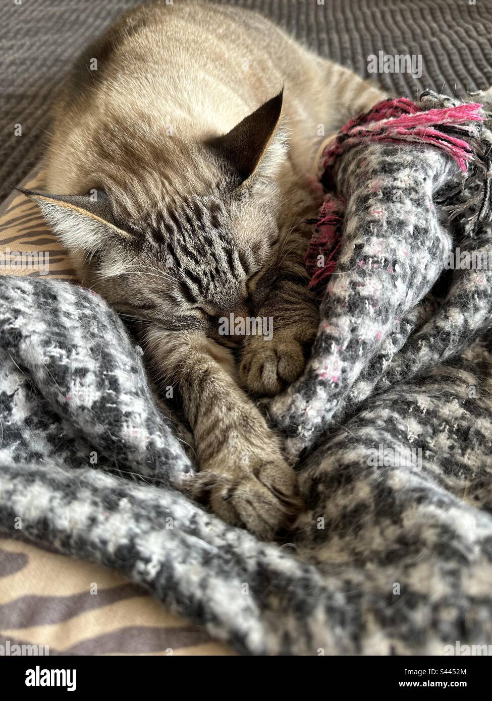 Nap night hi-res stock photography and images - Alamy