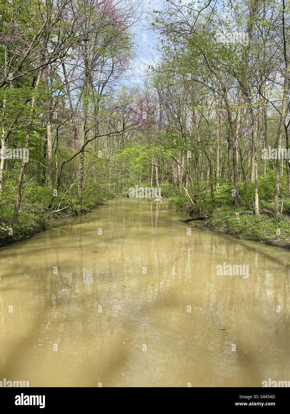 Chain olakes state park hi-res stock photography and images - Alamy
