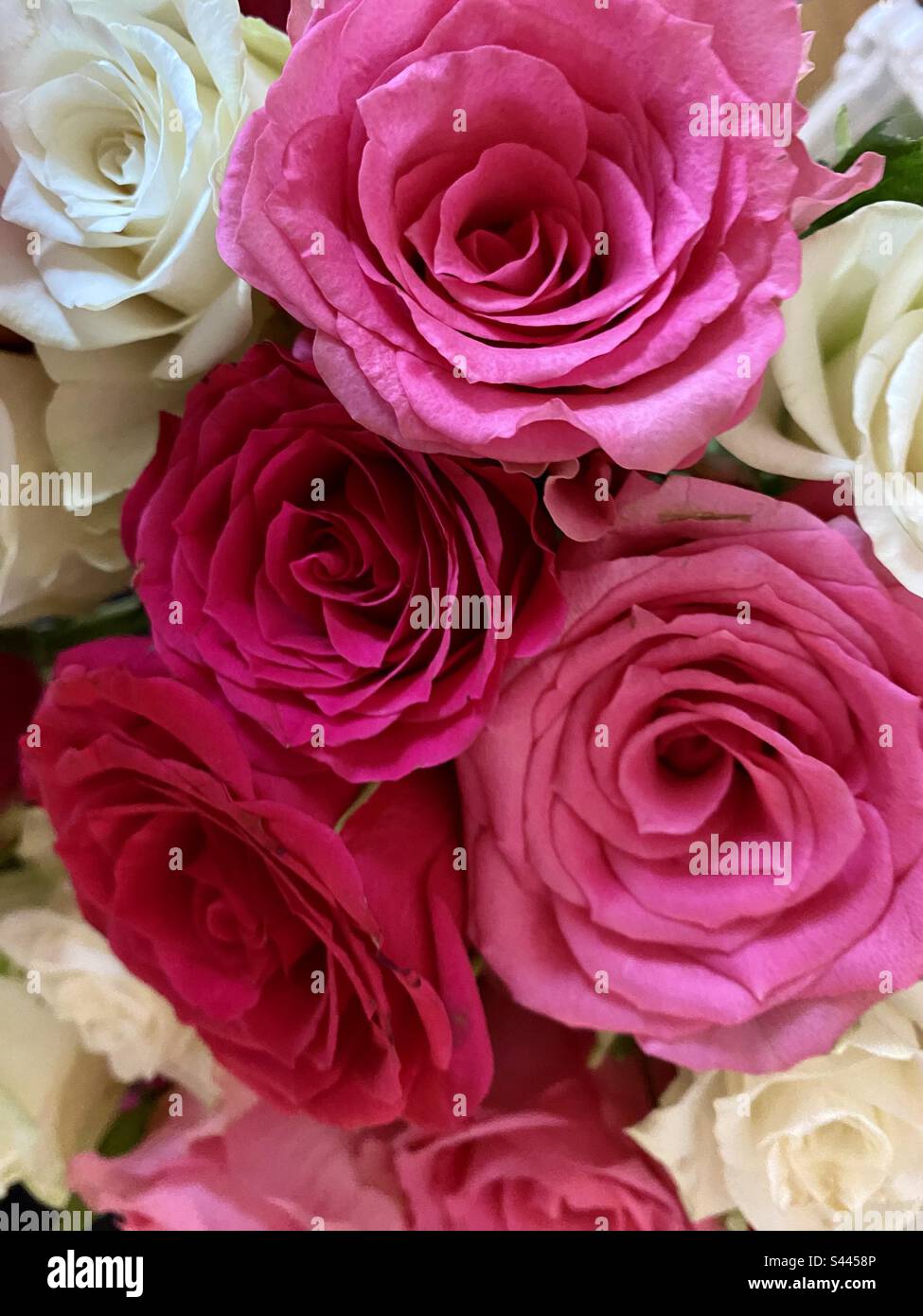 Bouquet with roses hi-res stock photography and images - Alamy