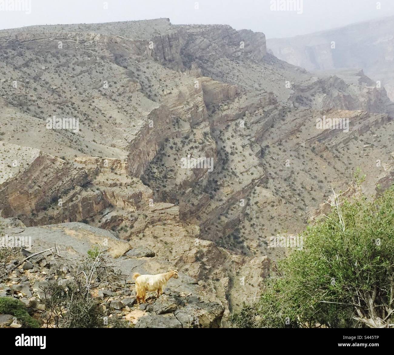 Al jabal al akhdar hi-res stock photography and images - Alamy