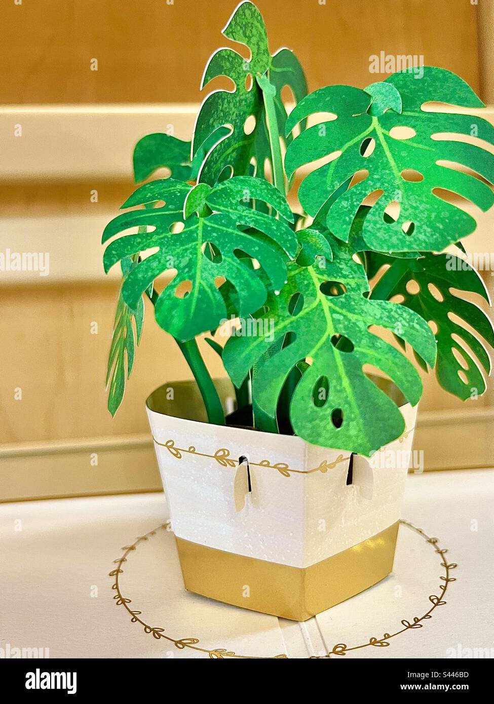 Paper plant hi-res stock photography and images - Alamy