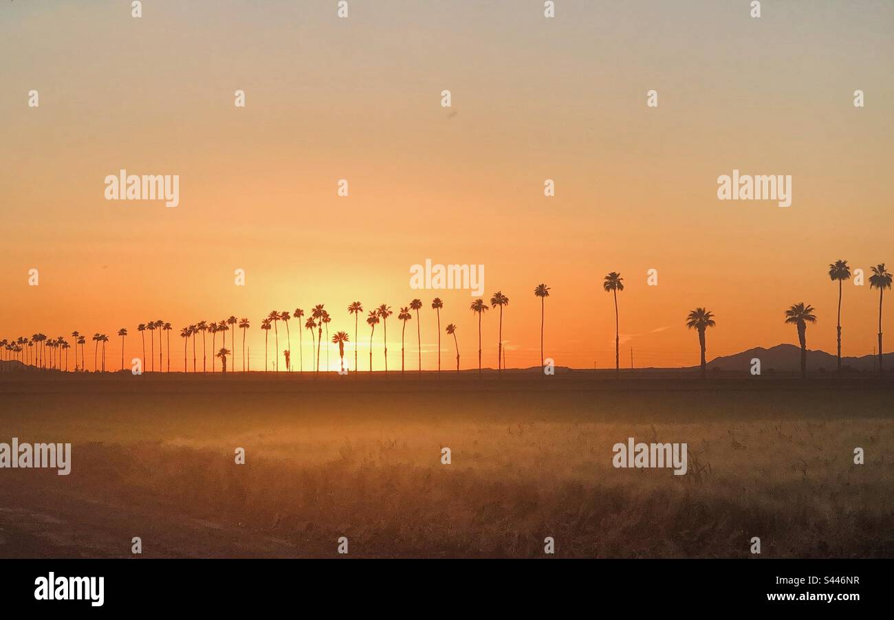 Sunsetting eye hi-res stock photography and images - Alamy