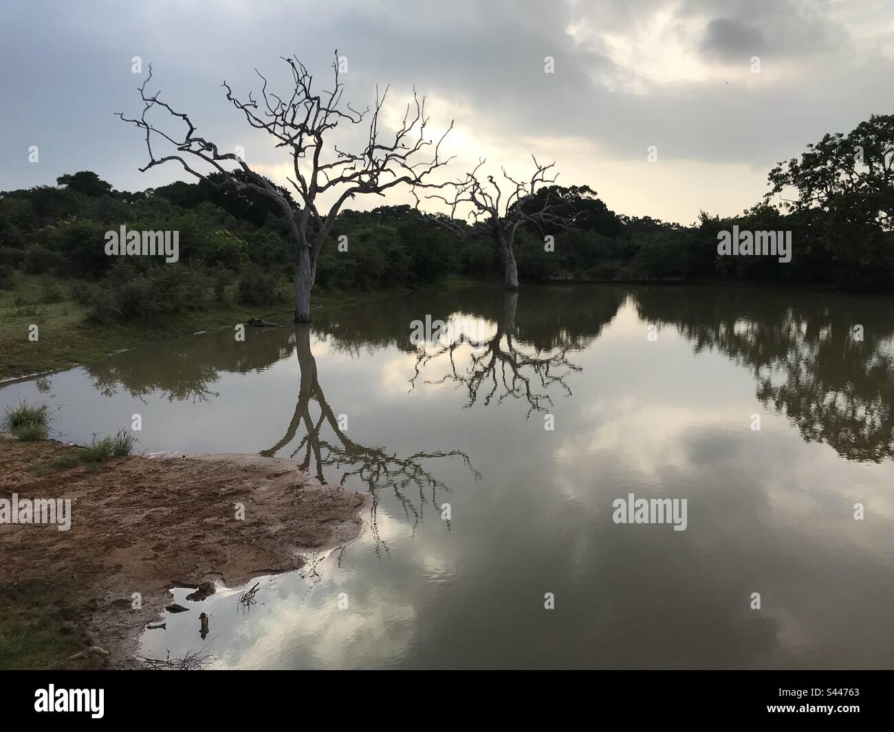 Reflections in a lake Stock Photo - Alamy