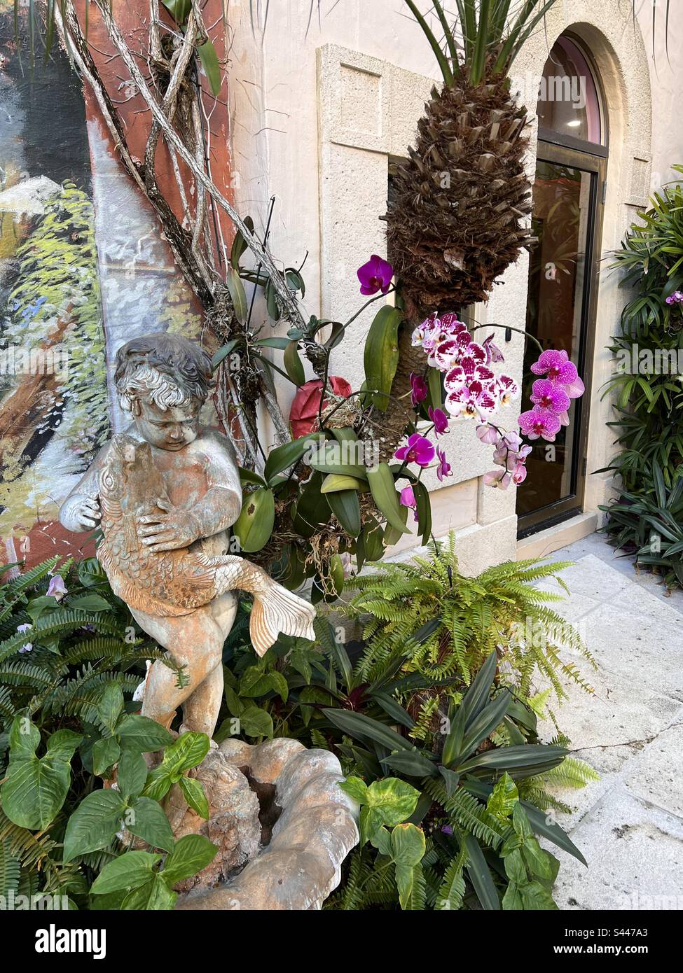 Courtyard with palm tree hi-res stock photography and images - Alamy