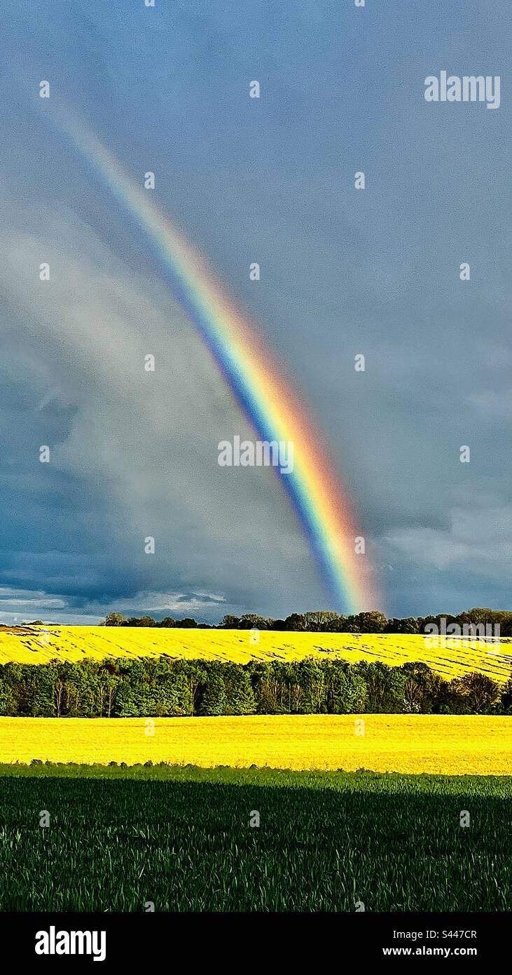 Rainbow after the storm Stock Photo - Alamy