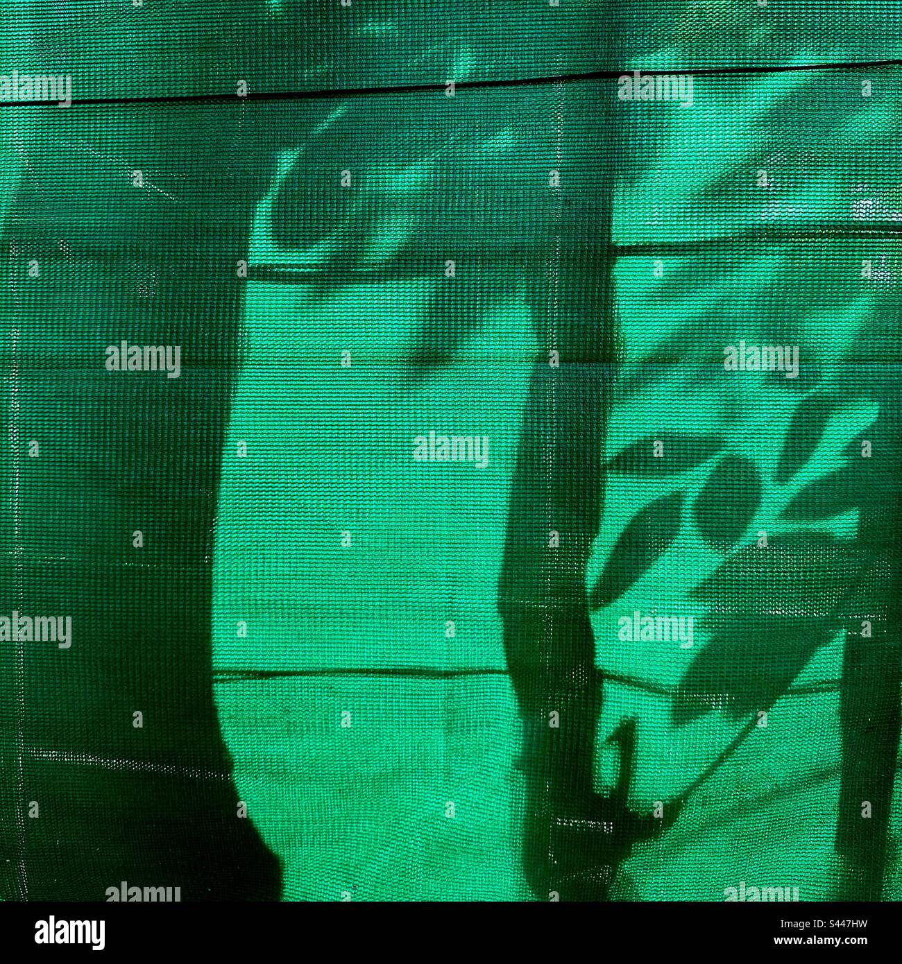 Green screen tree hi-res stock photography and images - Alamy