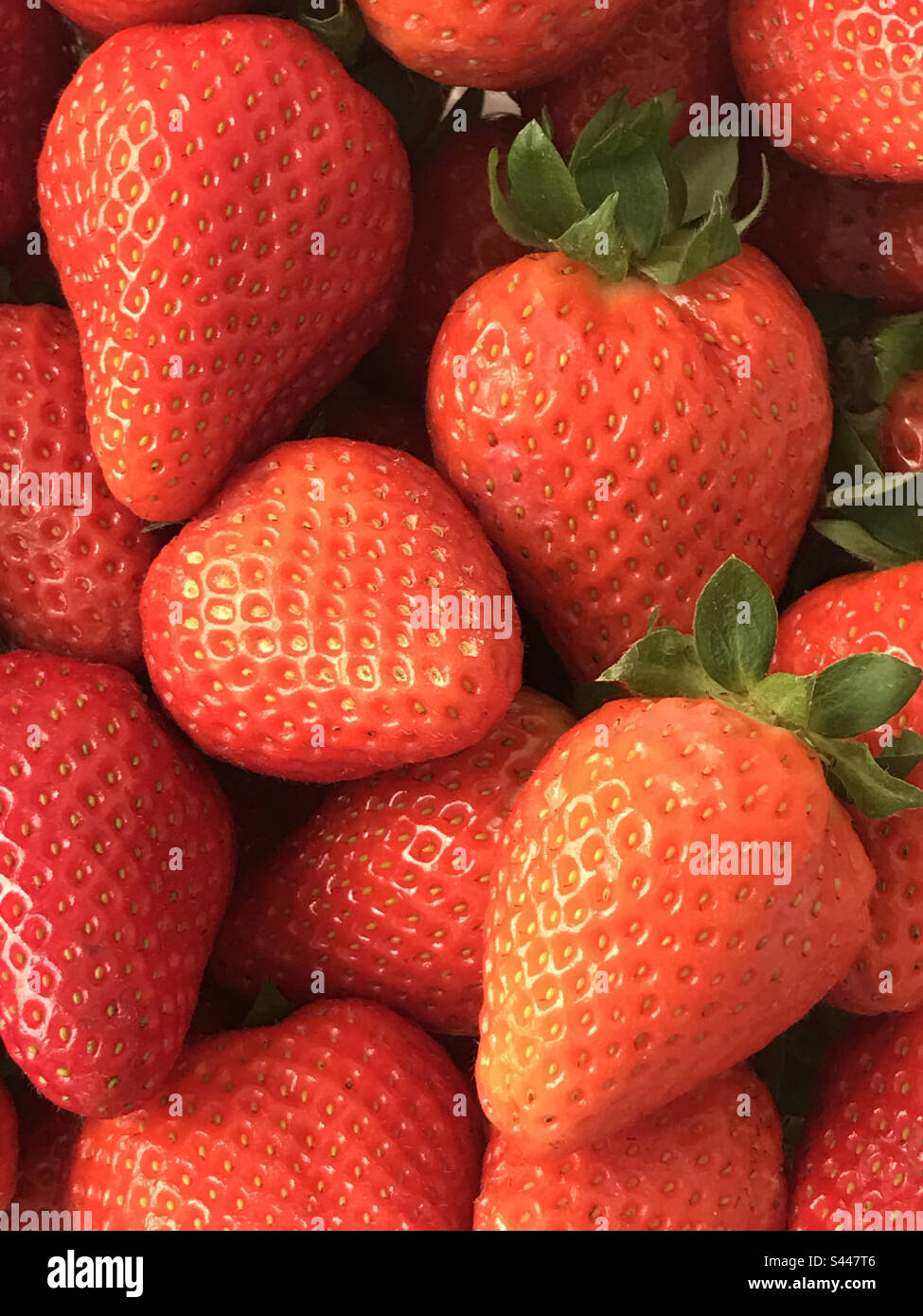 Monochromatic fruit hi-res stock photography and images - Alamy