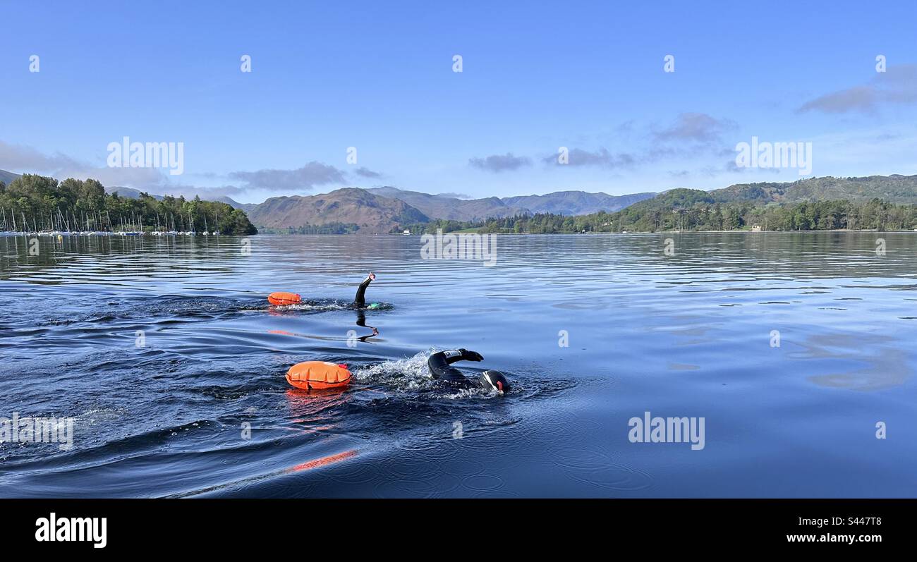 Open water swim Stock Photo - Alamy