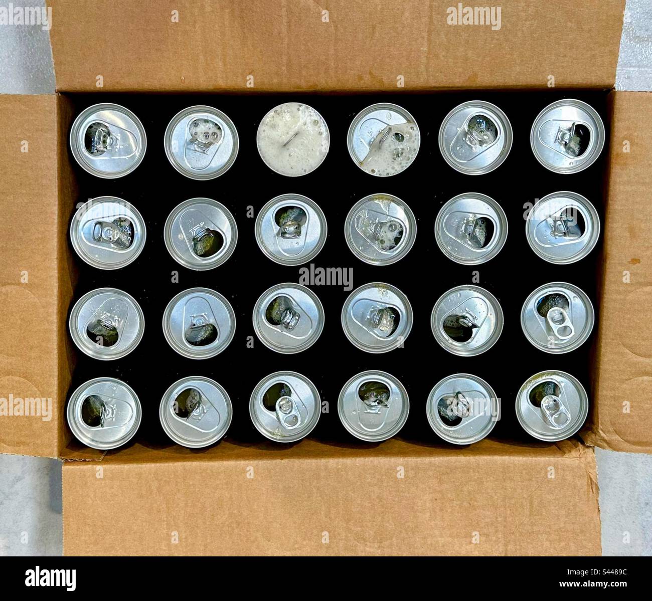 24 unlabelled open ring pull cans upright in a cardboard box Stock ...