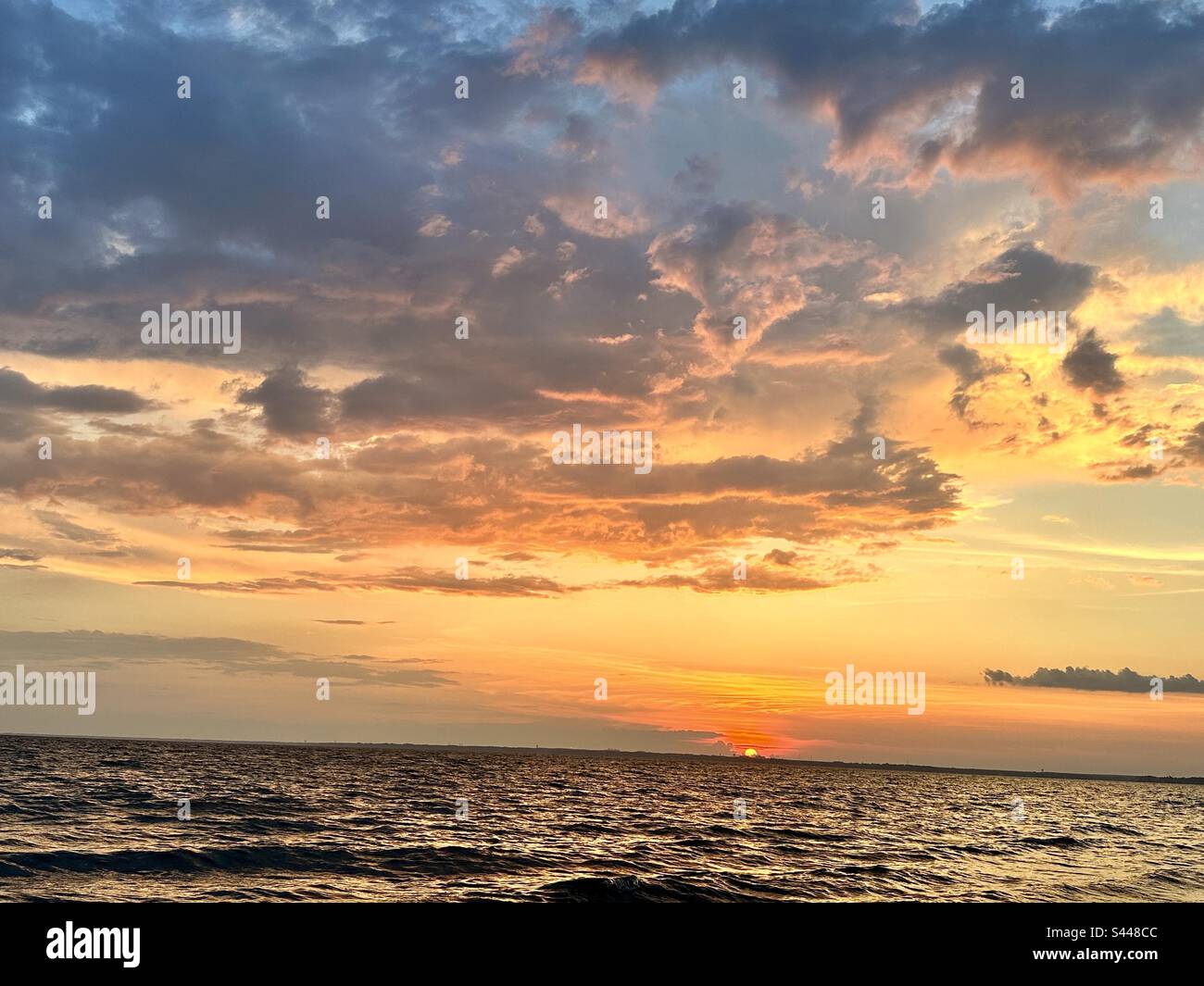 Iphone 14 pro max hi-res stock photography and images - Alamy