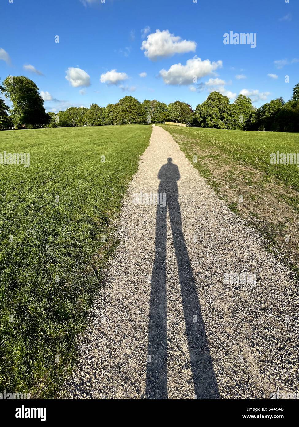 Path gravel trees shadow hi-res stock photography and images - Alamy