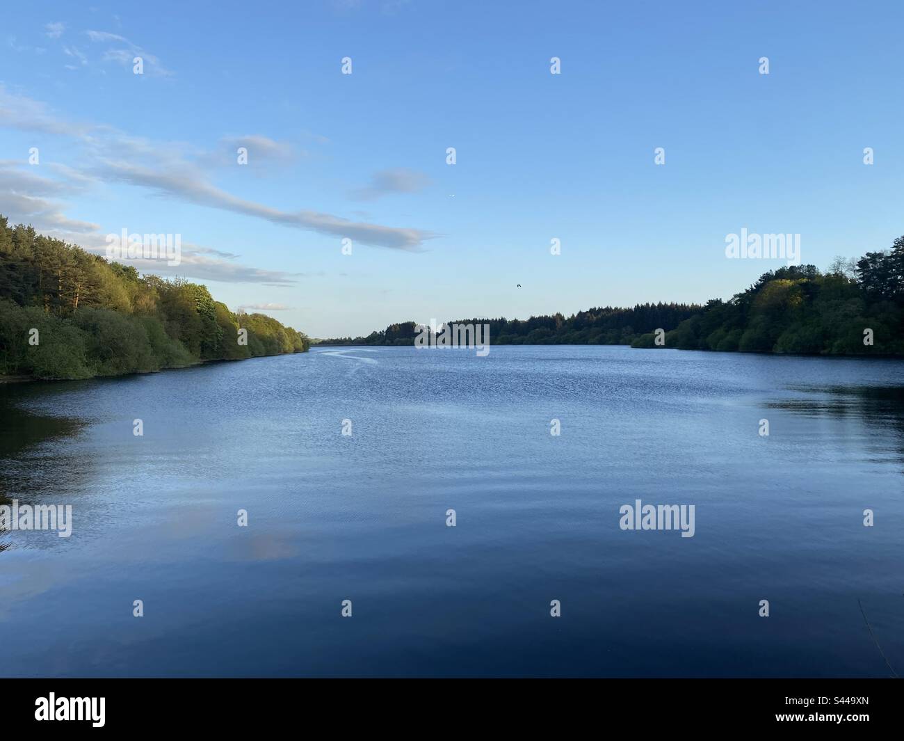 Wayoh reservoir hi-res stock photography and images - Alamy