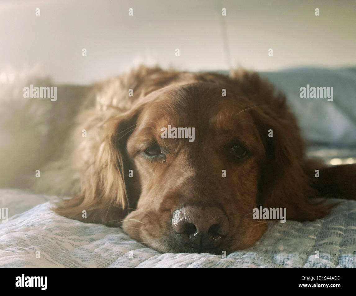 Zzzzz hi-res stock photography and images - Alamy