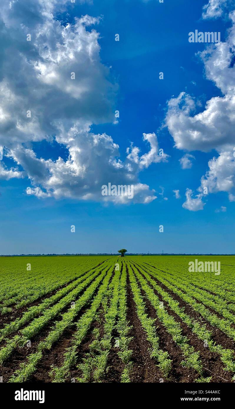 Infinity land hi-res stock photography and images - Alamy