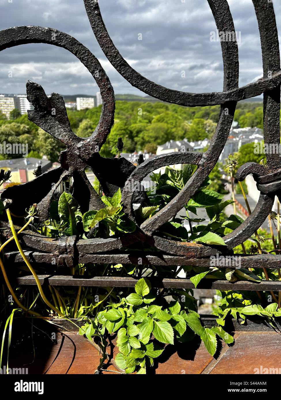 Railing with plants hi-res stock photography and images - Alamy