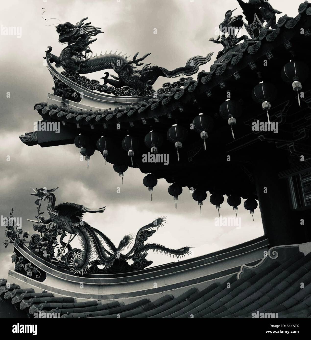 Divine creature hi-res stock photography and images - Alamy