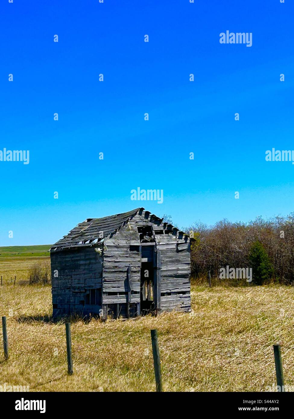 Old shed in the country, fence, posts, poles, hedge,prairie, landscape ...