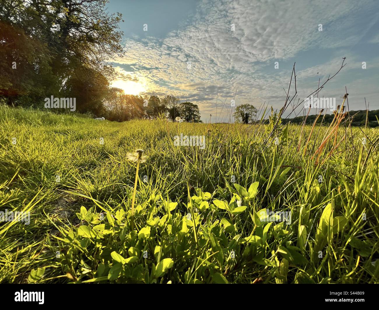 Taken from an angle hi-res stock photography and images - Alamy