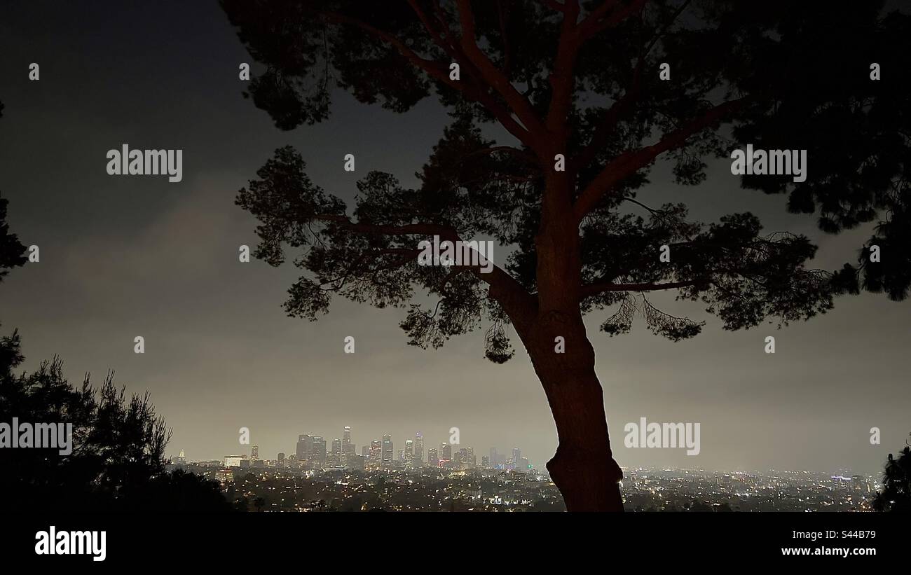 Los Angeles downtown as viewed from the Paramour estates at night Stock ...