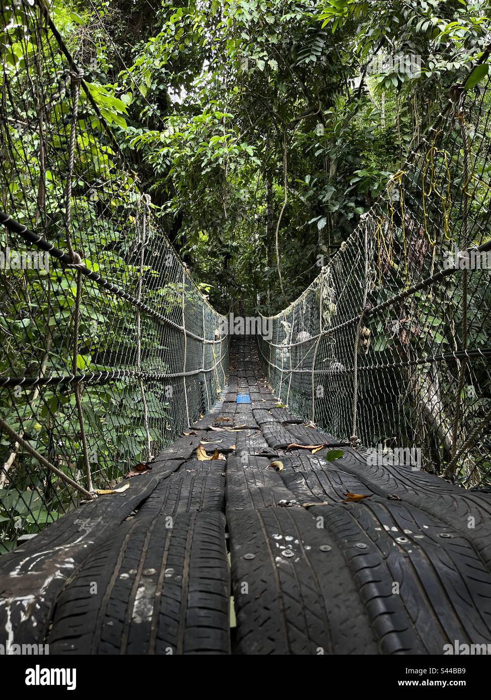 Jungle trail bridge hi-res stock photography and images - Alamy