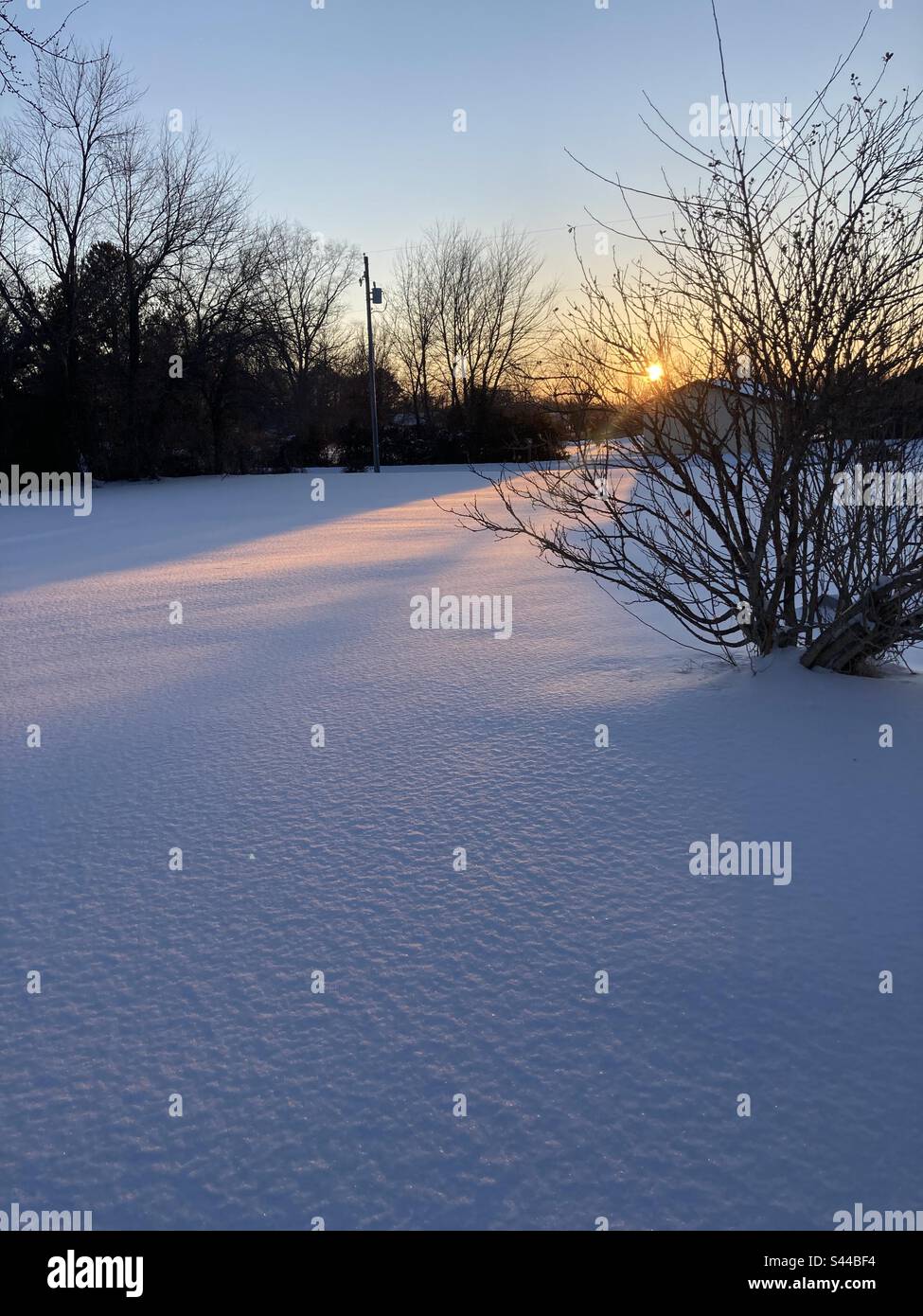 Through a bush hi-res stock photography and images - Alamy